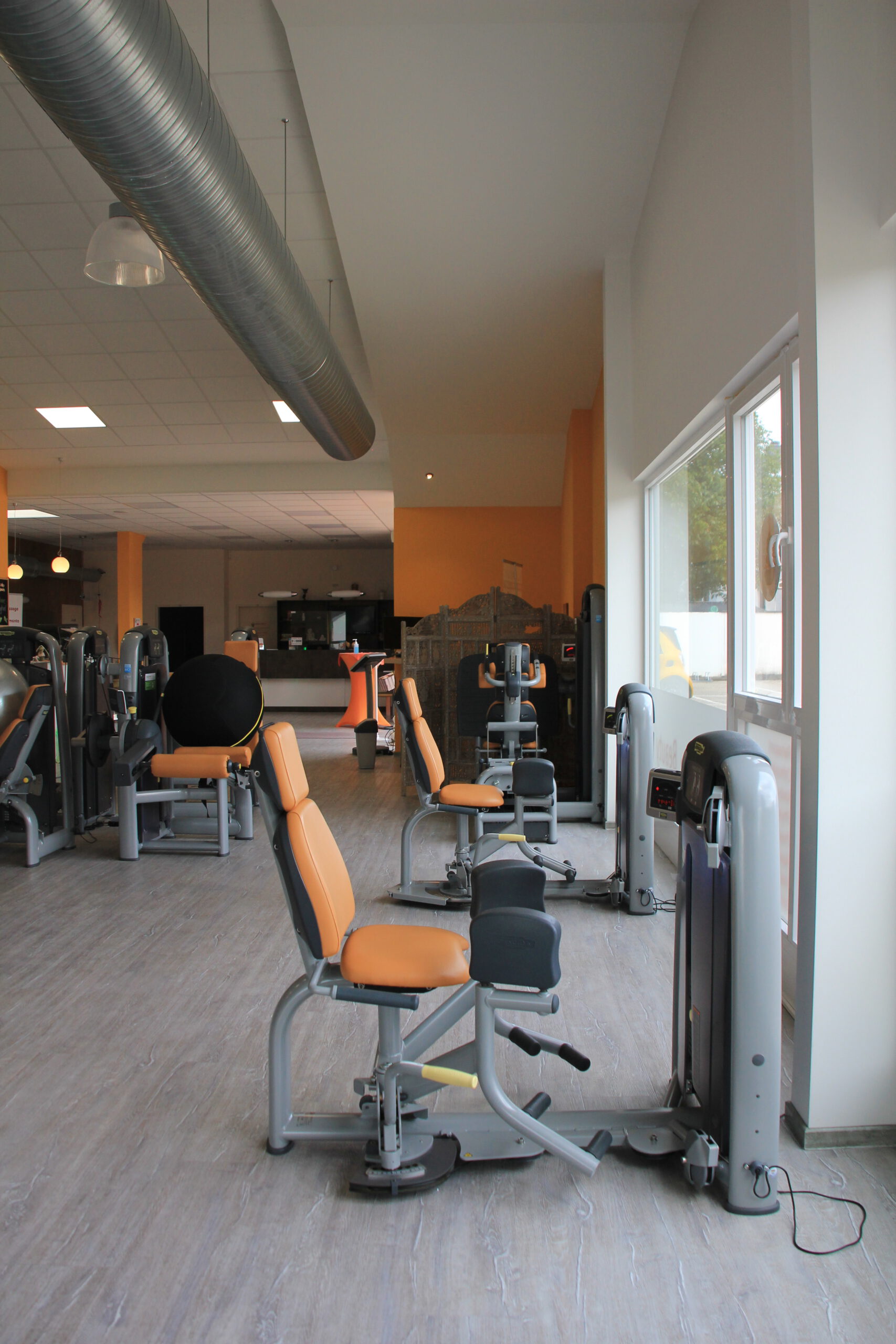 Physio, Fitness & Yoga in Plaidt Ganzheitliches Training & Therapie