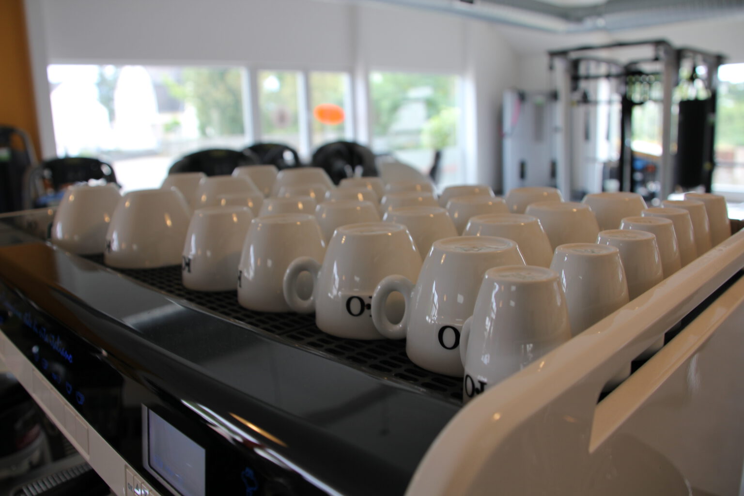 Physio, Fitness & Yoga in Plaidt Ganzheitliches Training & Therapie